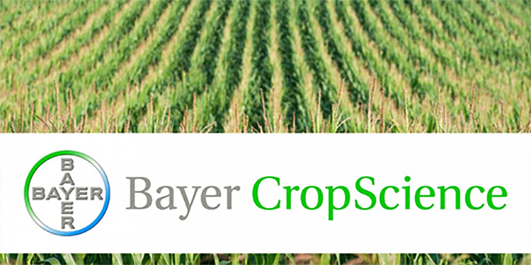 Why Bayer CropScience Globally Standardized BFM® Flexible Connectors